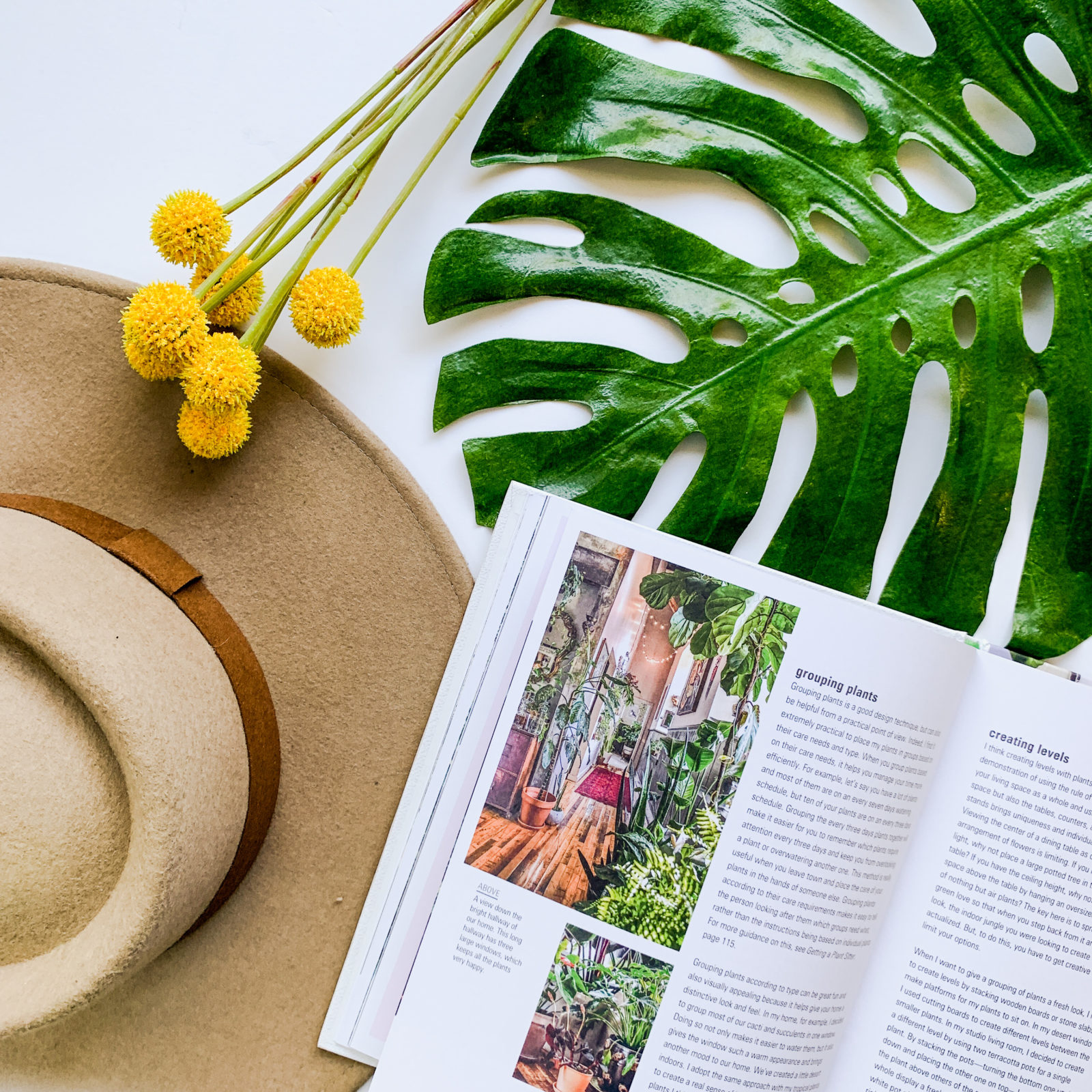 How to style and shoot flat lays with your phone - Emily Kim Photography