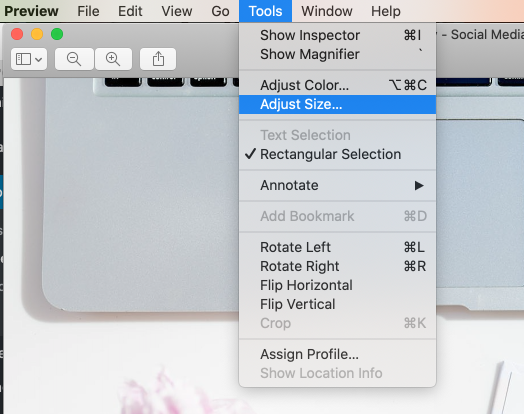 5 tips for optimizing images for your website - Emily Kim Photography