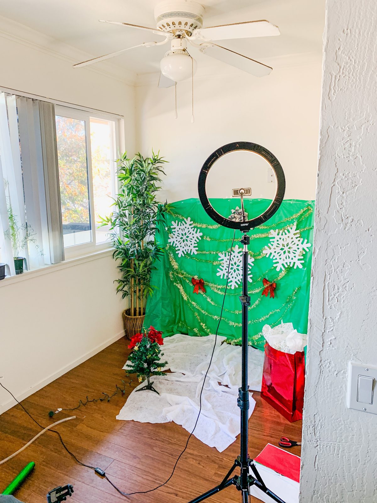 How to create a DIY holiday photo setup at home - Emily Kim Photography